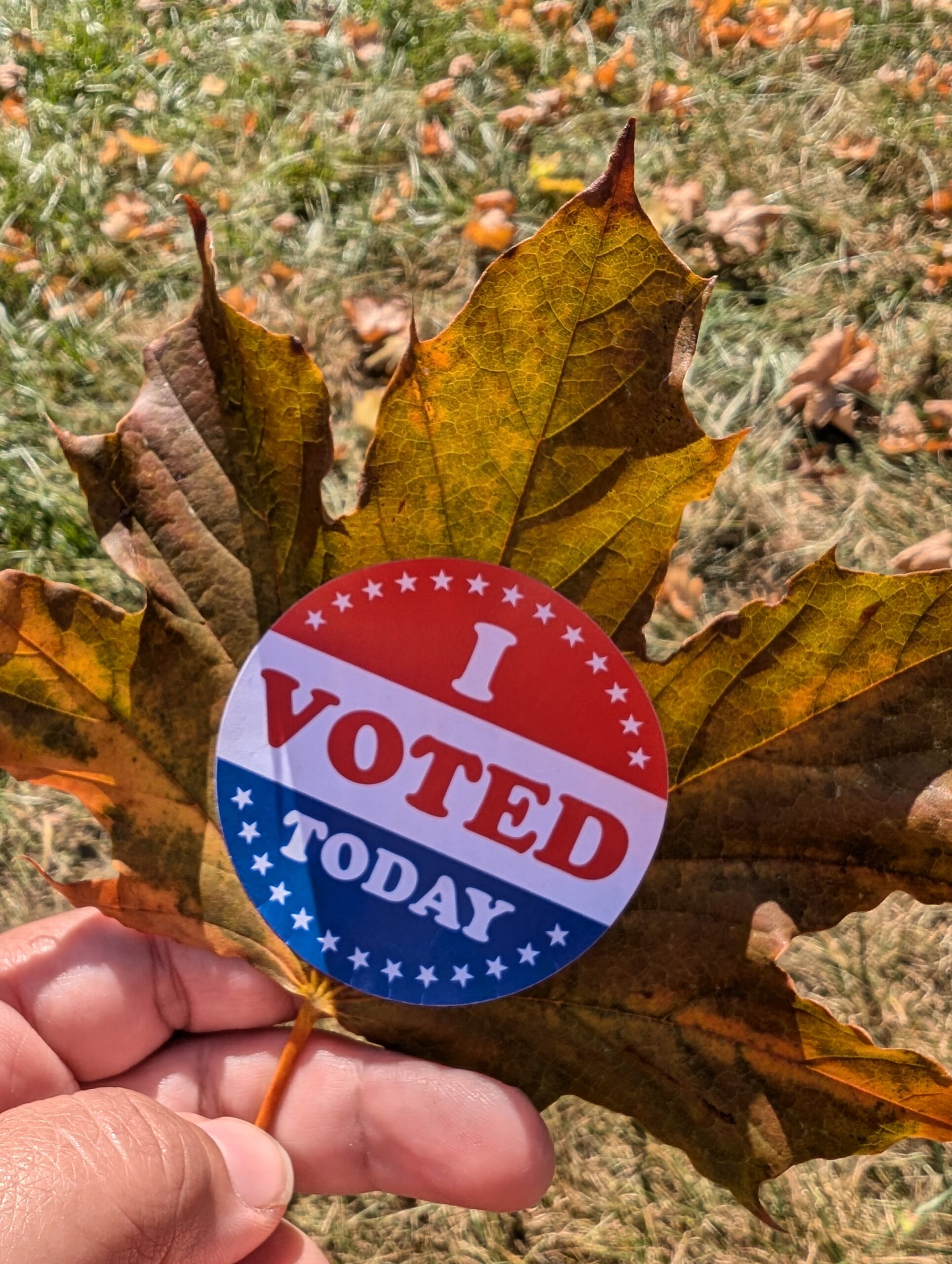 Your Vote is Not Sacred - Being In Community